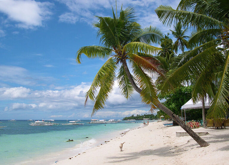 Best Beaches in Bohol - 5 of the Best Beaches in Bohol, Philippines